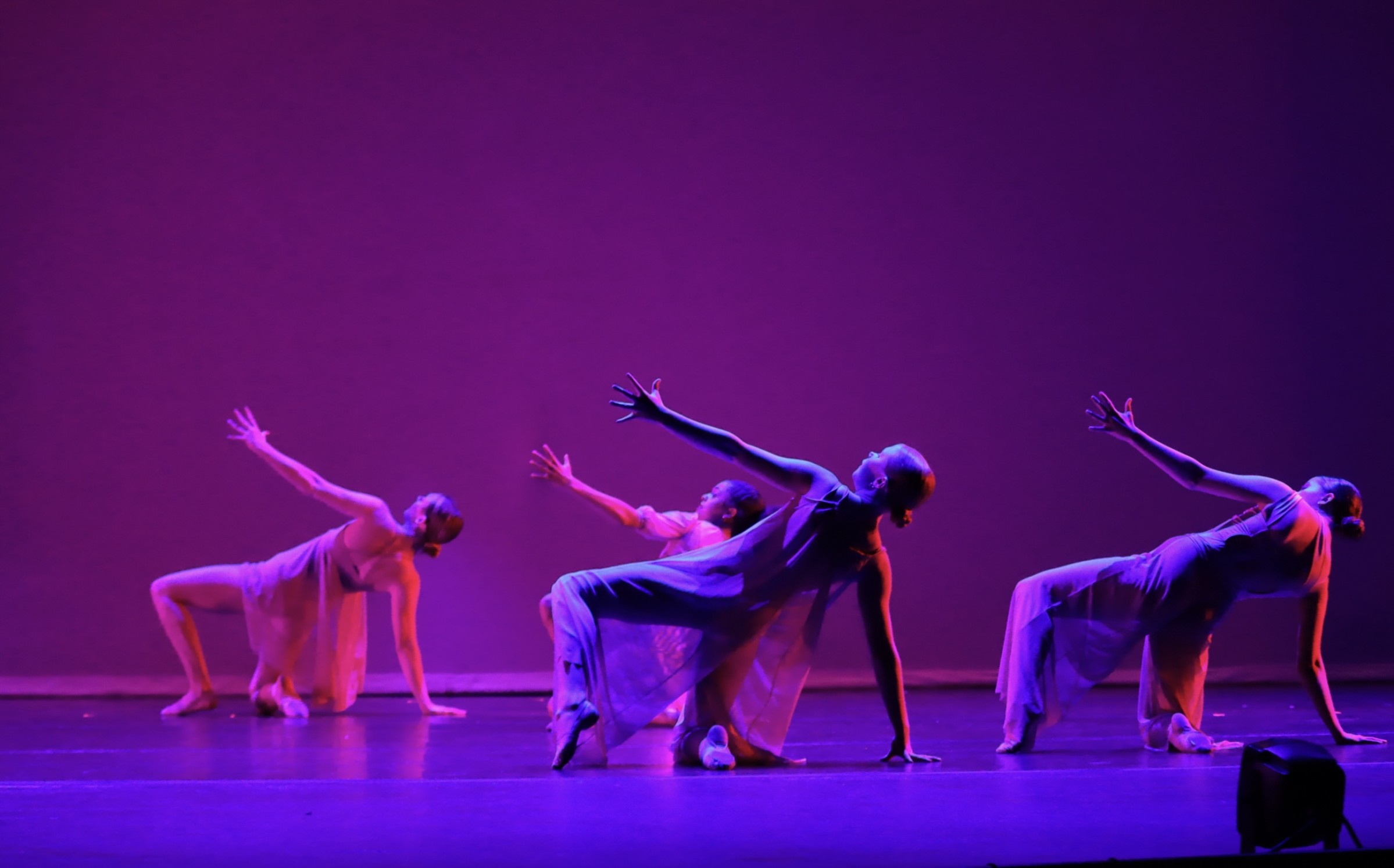 Theater & Dance Teams - The Rose Theater