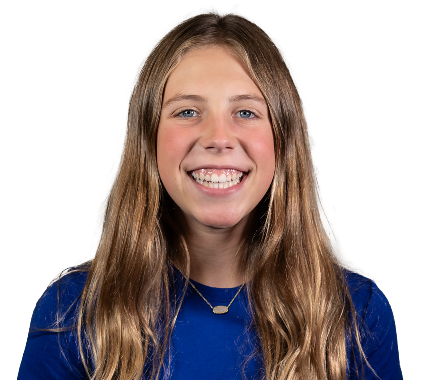 Diary of a Wimpy Kid: The Musical - The Rose Theater