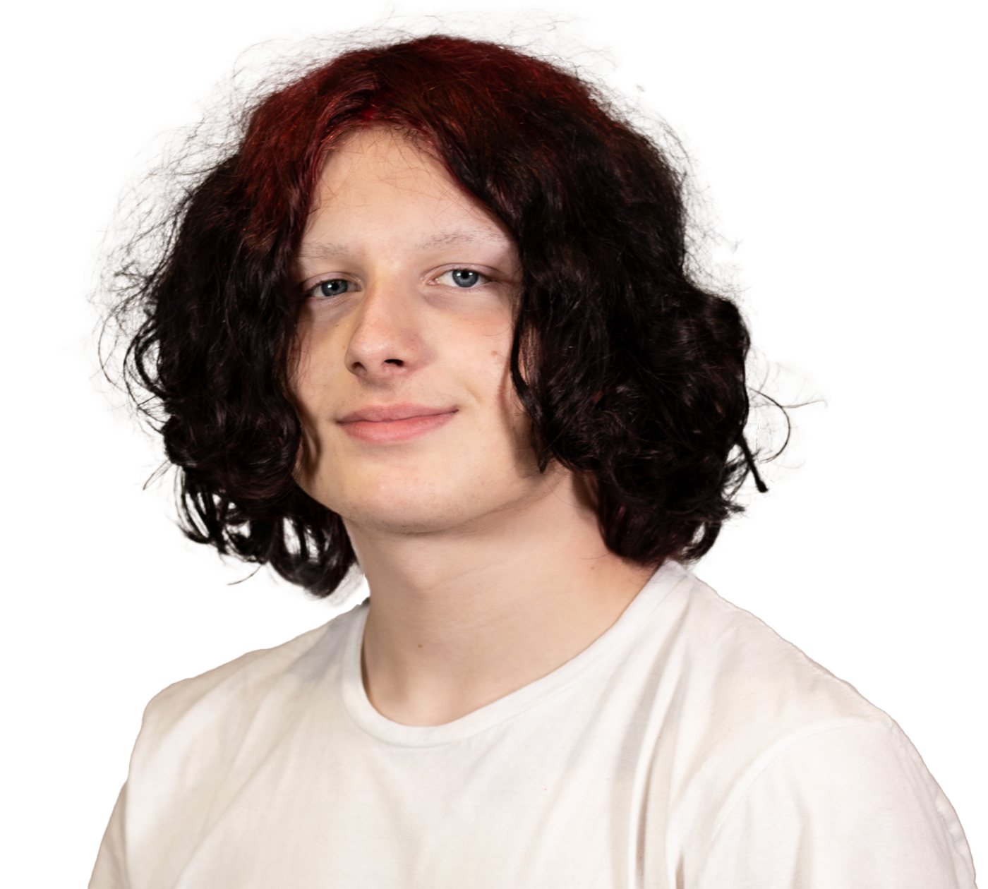 Diary of a Wimpy Kid: The Musical - The Rose Theater